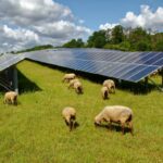 Scottish solar and battery project gets greenlight - UK Solar Summit